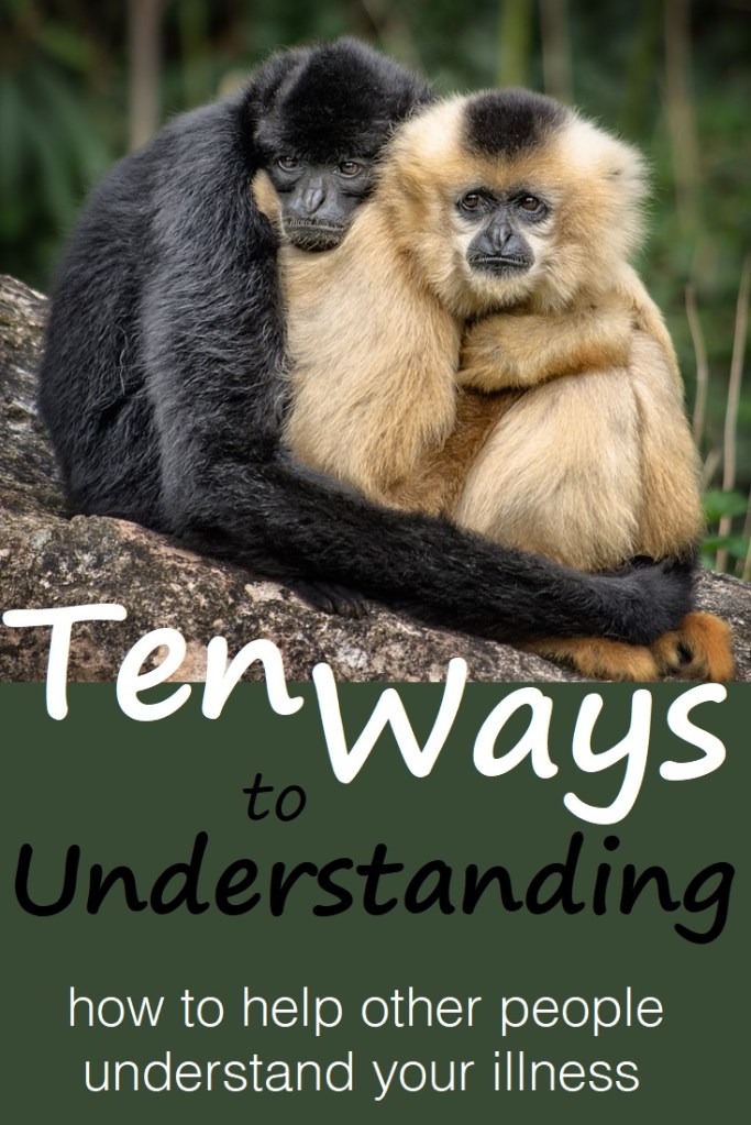 Ten Ways to Understanding – Verve