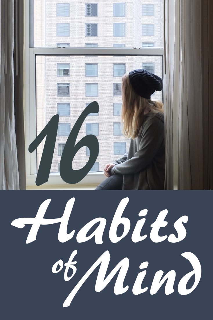 Sixteen Habits of Mind – Verve